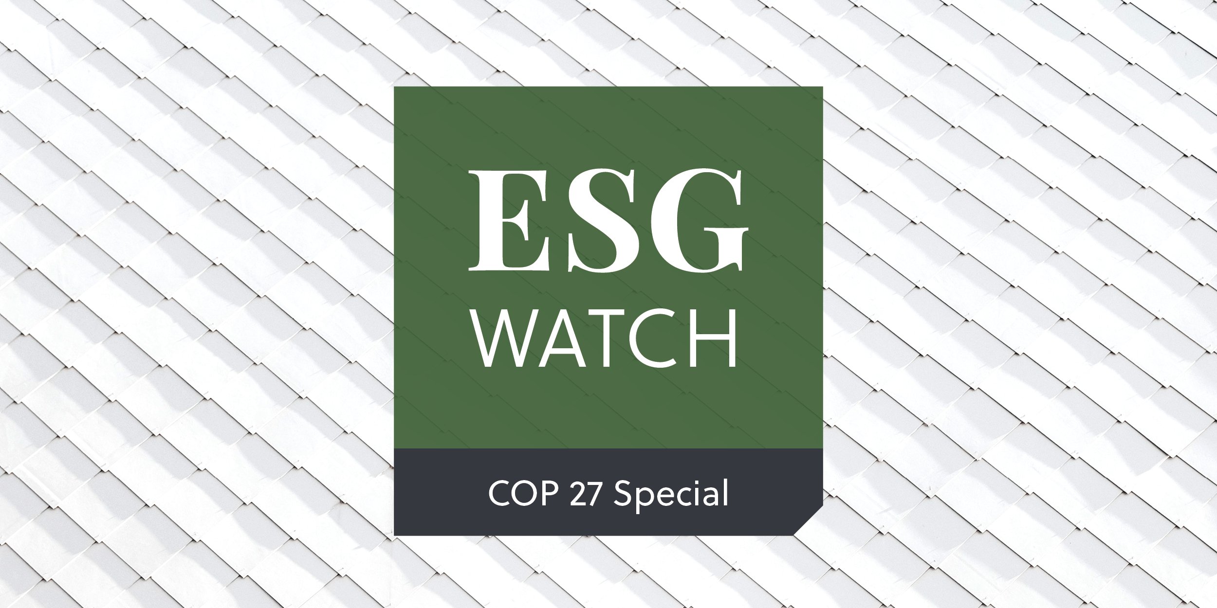 ESG Watch | COP27 Special